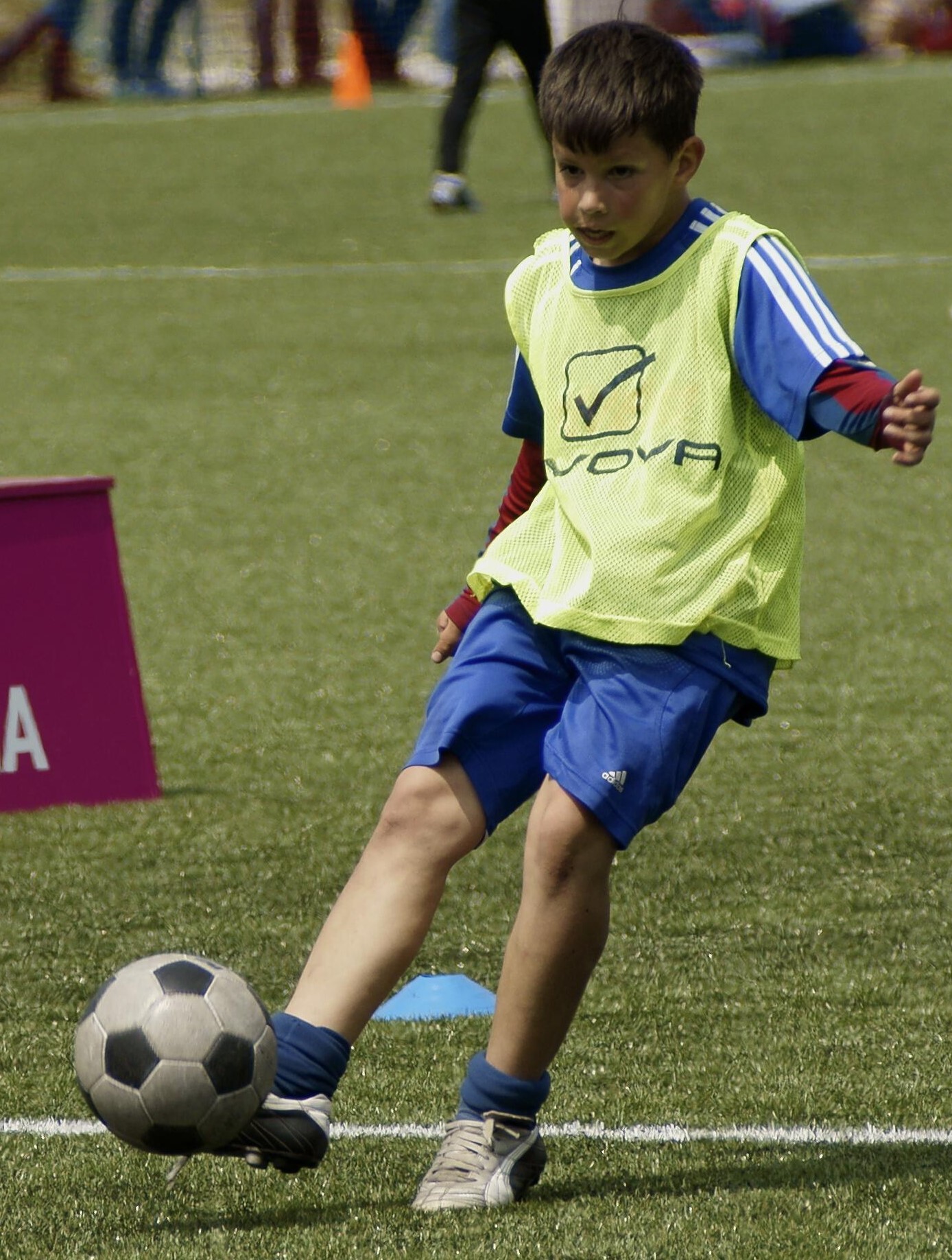 Kids Training - Hadley Allen Fitness